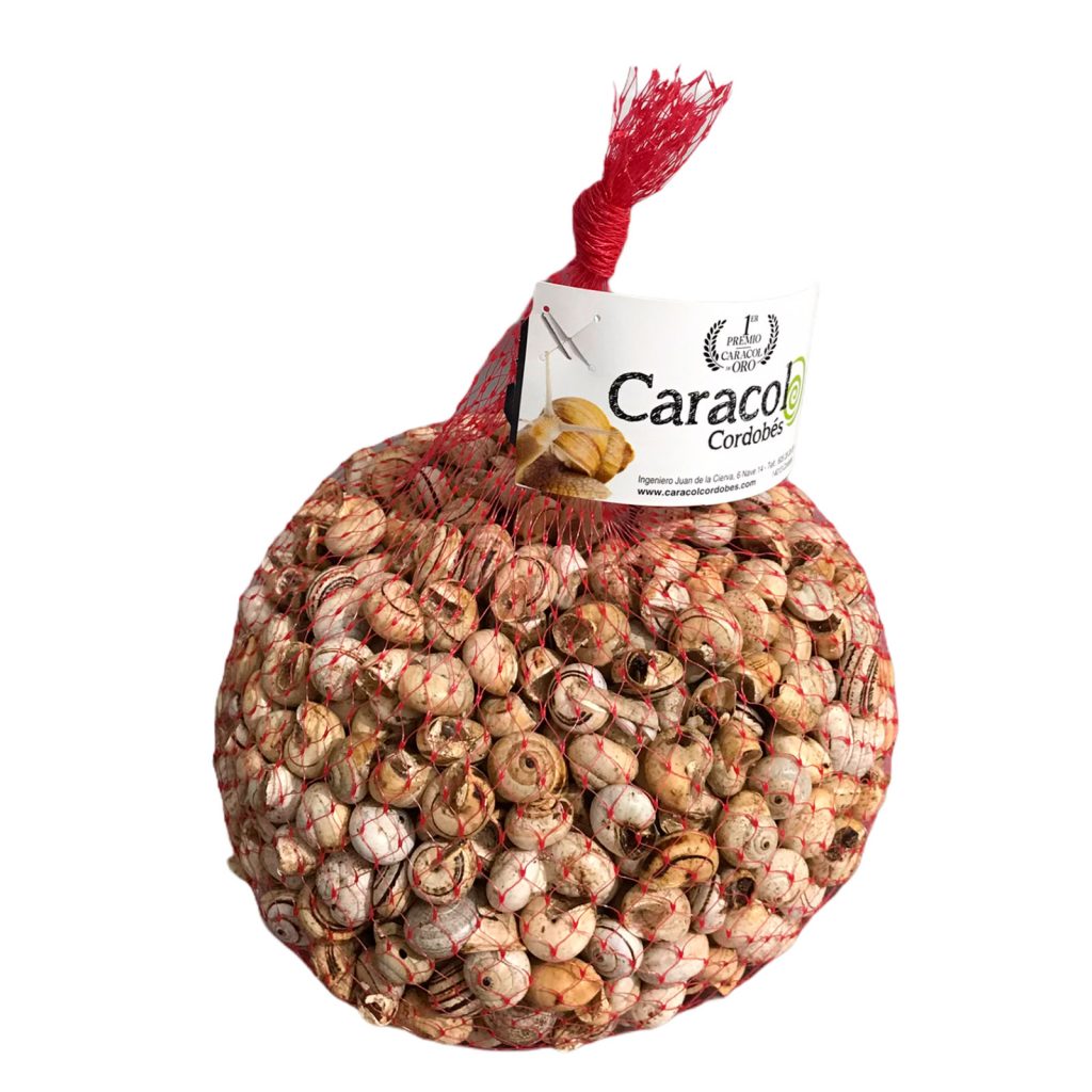 Blanquillo (1kg) – Caracol Cordobes