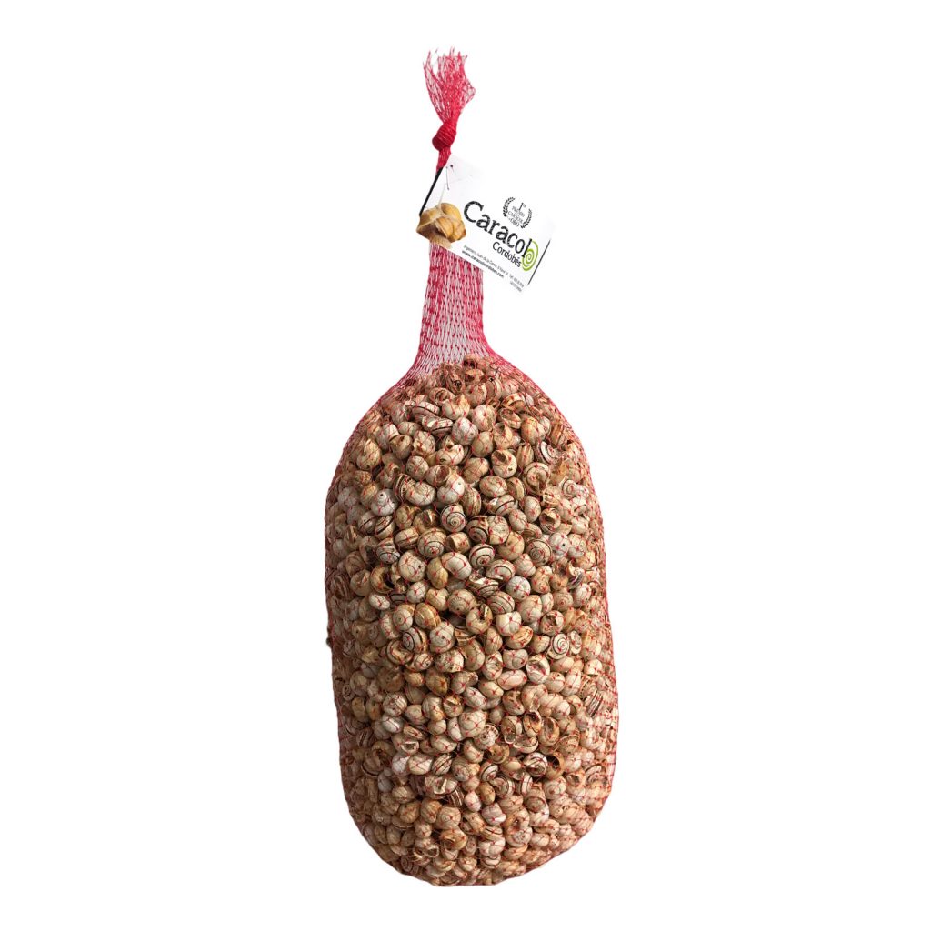 Blanquillo (5kg) – Caracol Cordobes